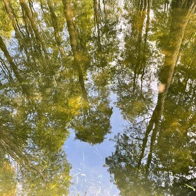 睁眼，上班，然后下班 (@Granola@trpg.cloud) - 团象